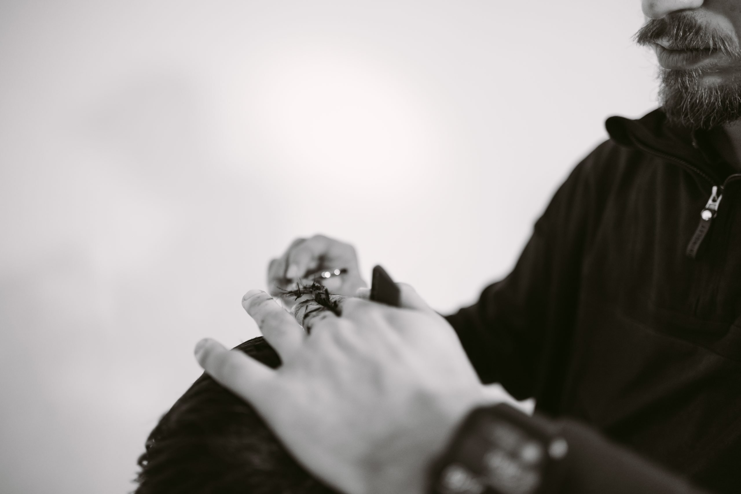 Home - Offset Hair Industry